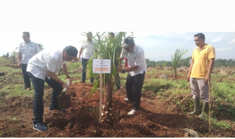 PPKS Laksanakan Penanaman Pohon Induk Sawit 2025 di Aek Pancur Tanjung ...